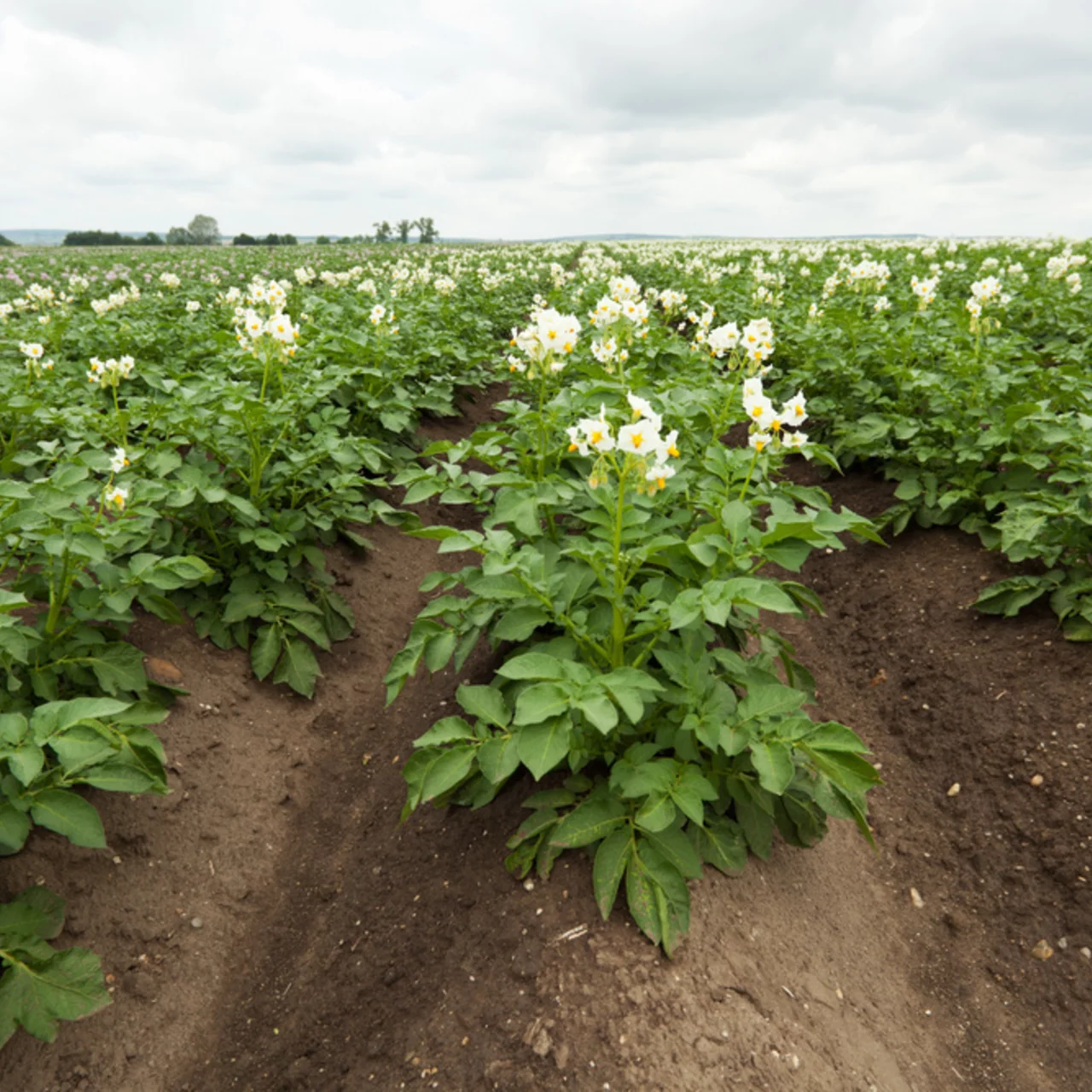 Redirecting to /de-ch/maintenance