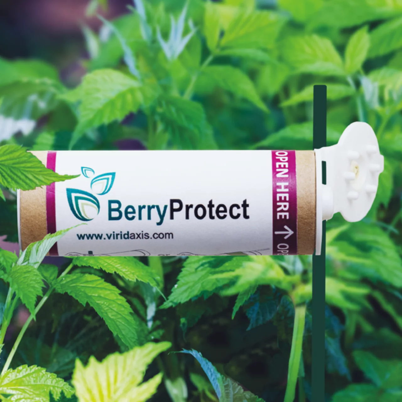 BerryProtect