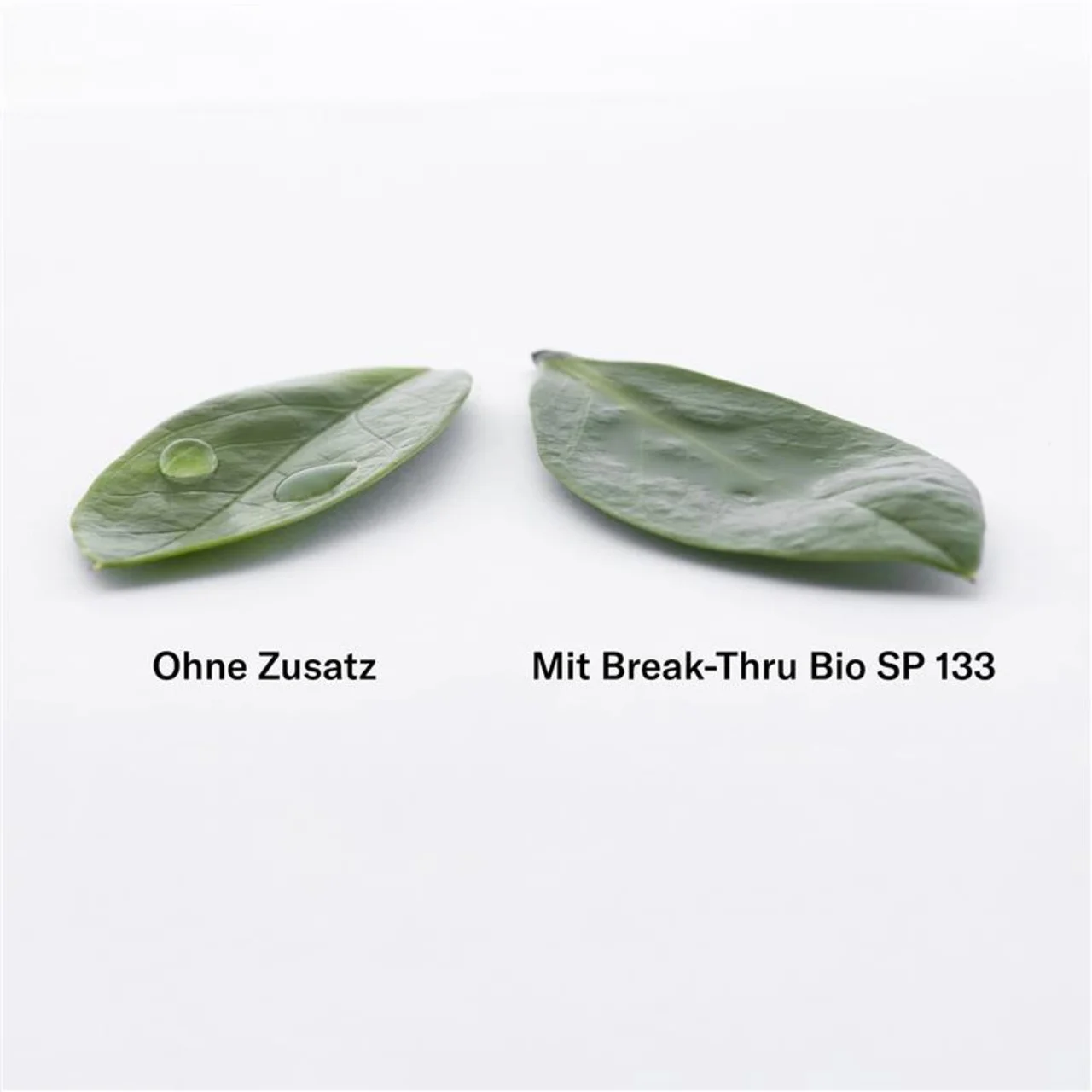 Break-Thru Bio SP 133