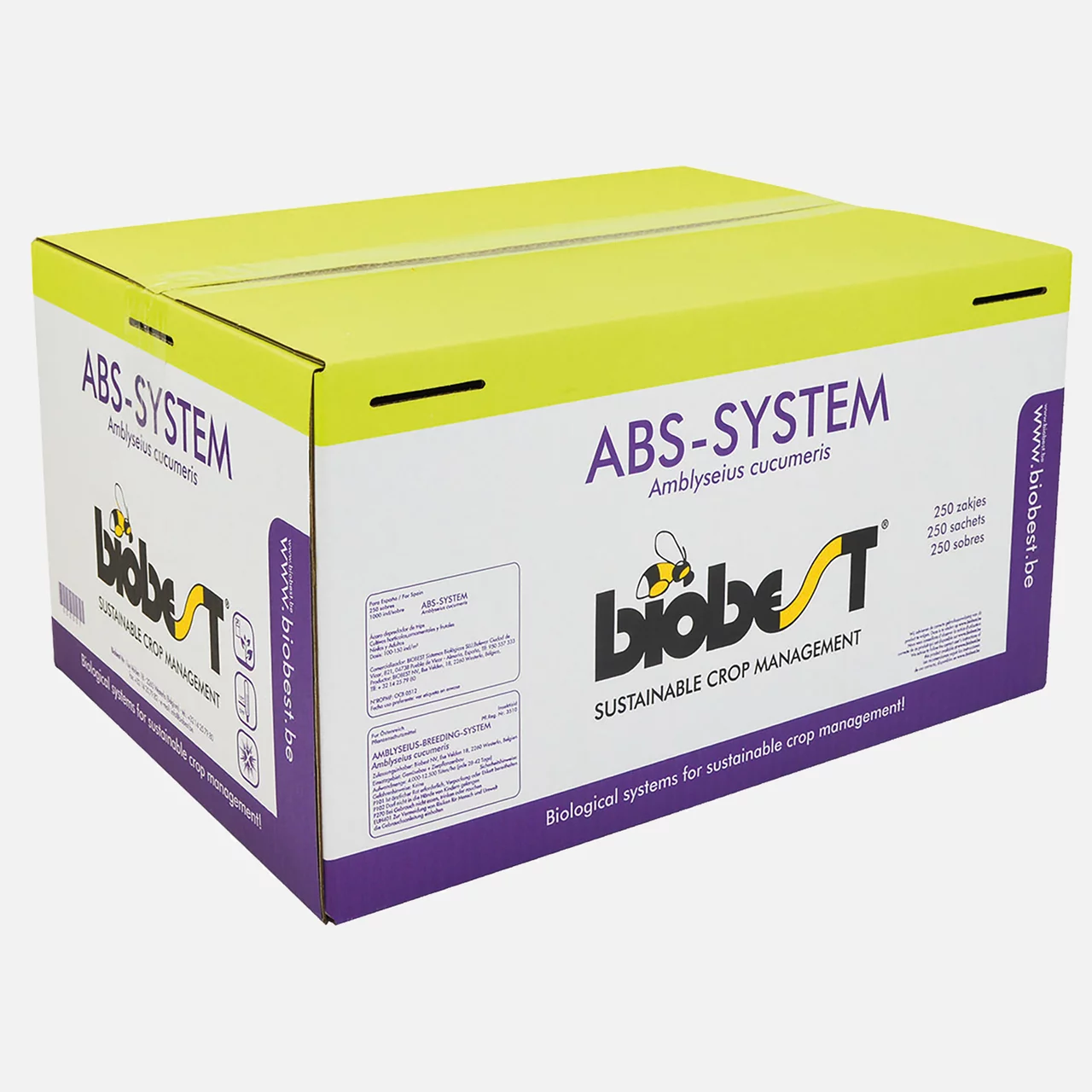 Amblyseius cucumeris