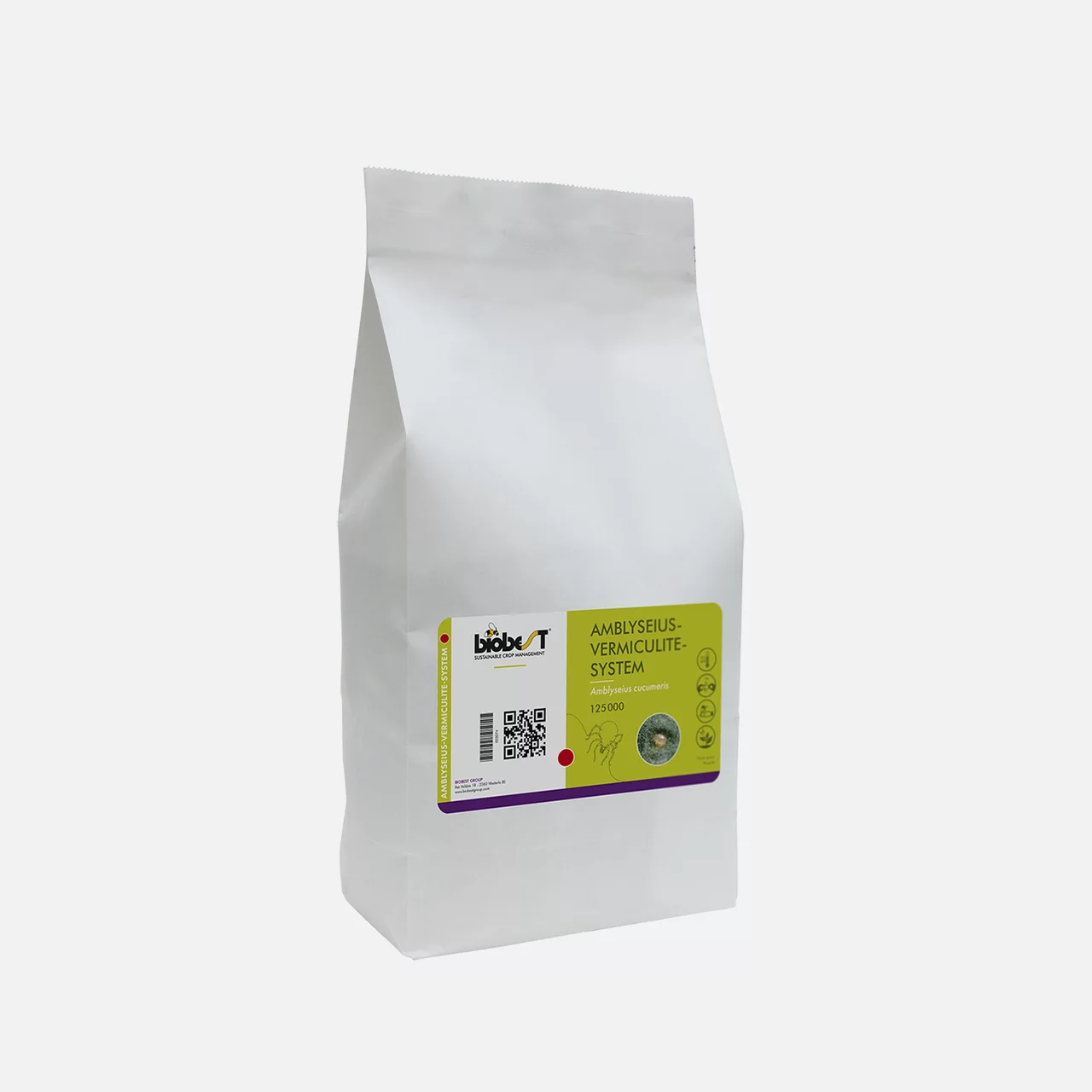 Amblyseius cucumeris